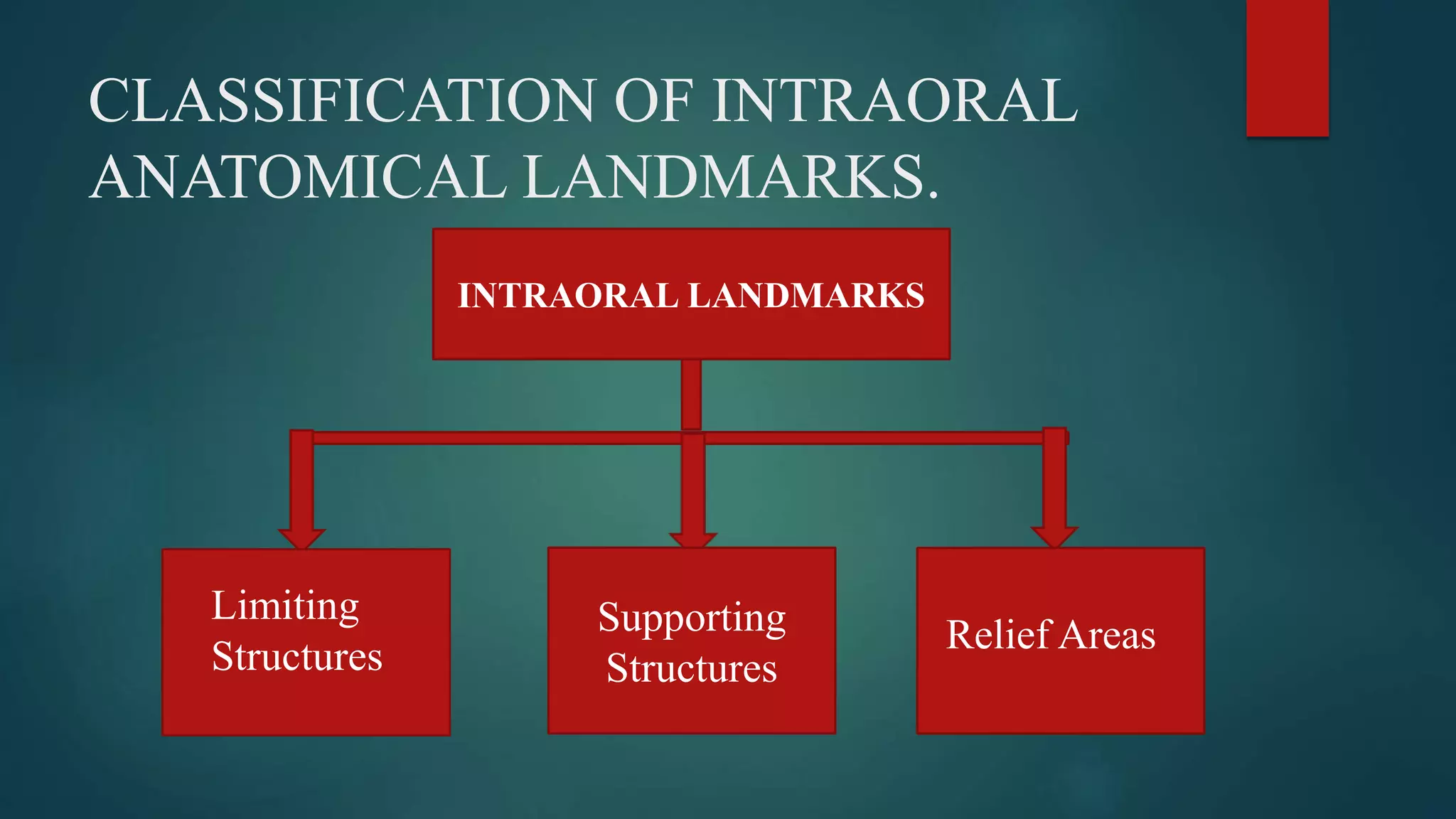 Maxillary and mandbular anatomical landmarks | PPTX