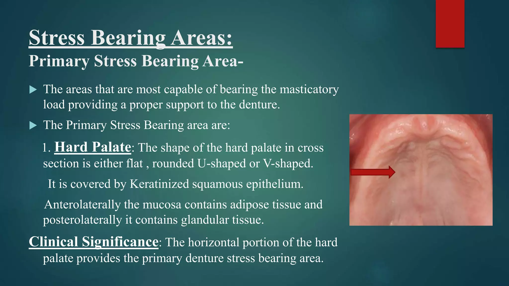 Maxillary and mandbular anatomical landmarks | PPTX