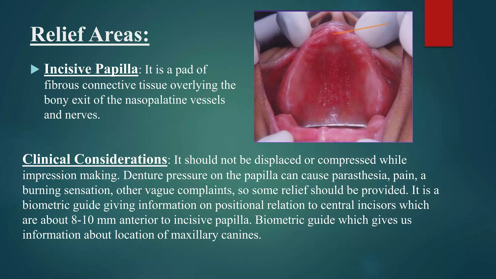 Maxillary and mandbular anatomical landmarks | PPTX