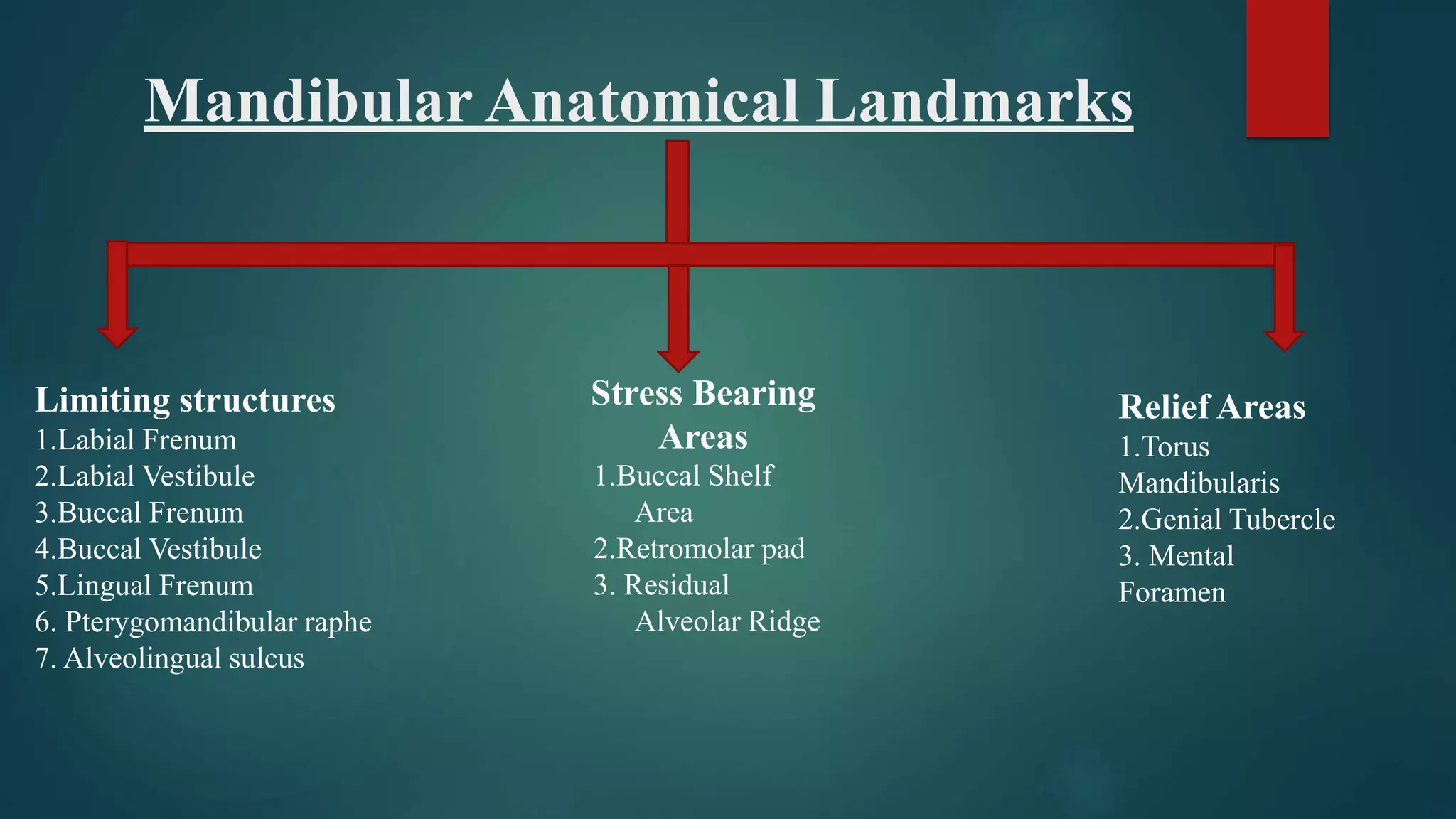 Maxillary and mandbular anatomical landmarks | PPTX