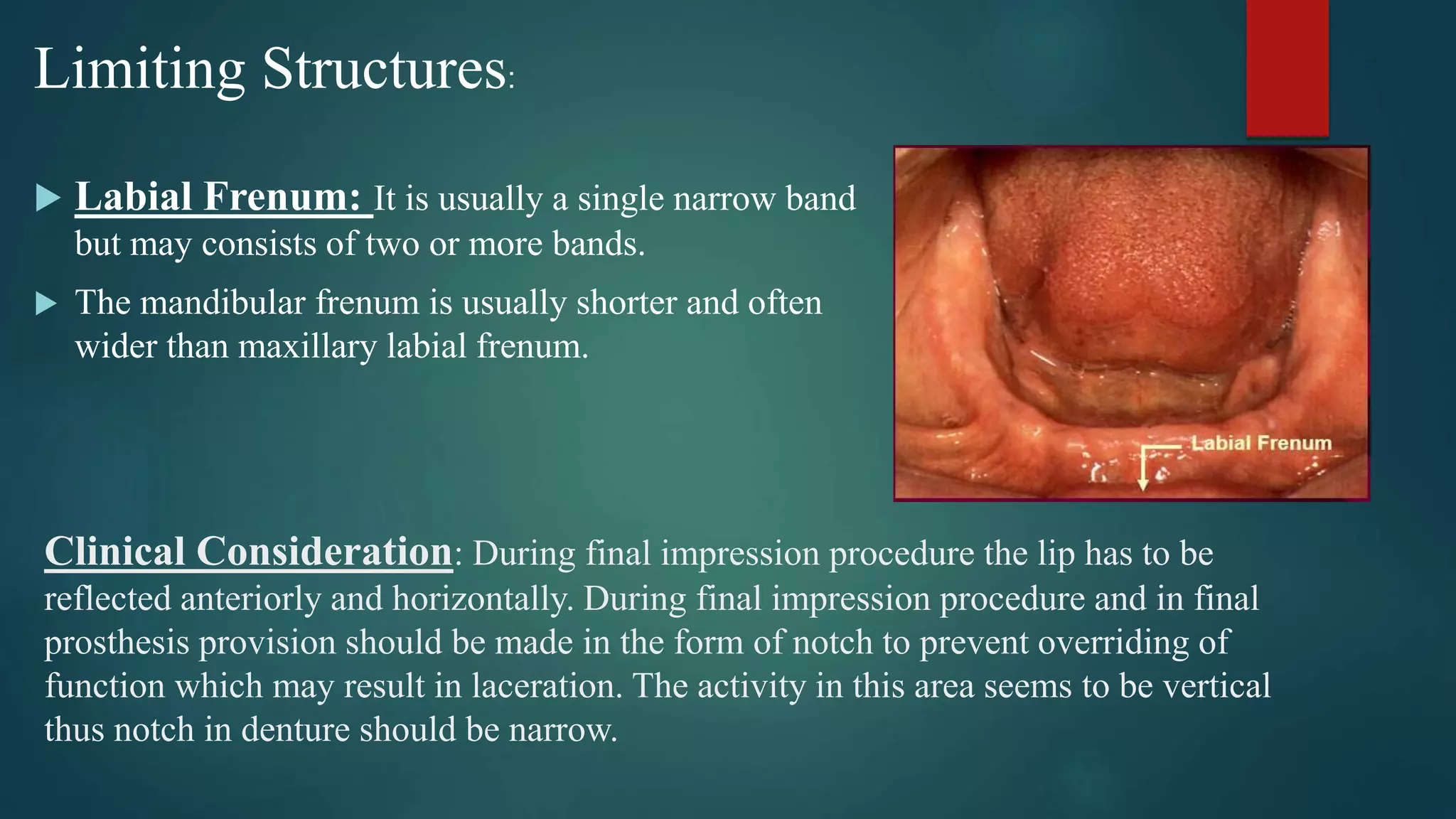 Maxillary and mandbular anatomical landmarks | PPTX