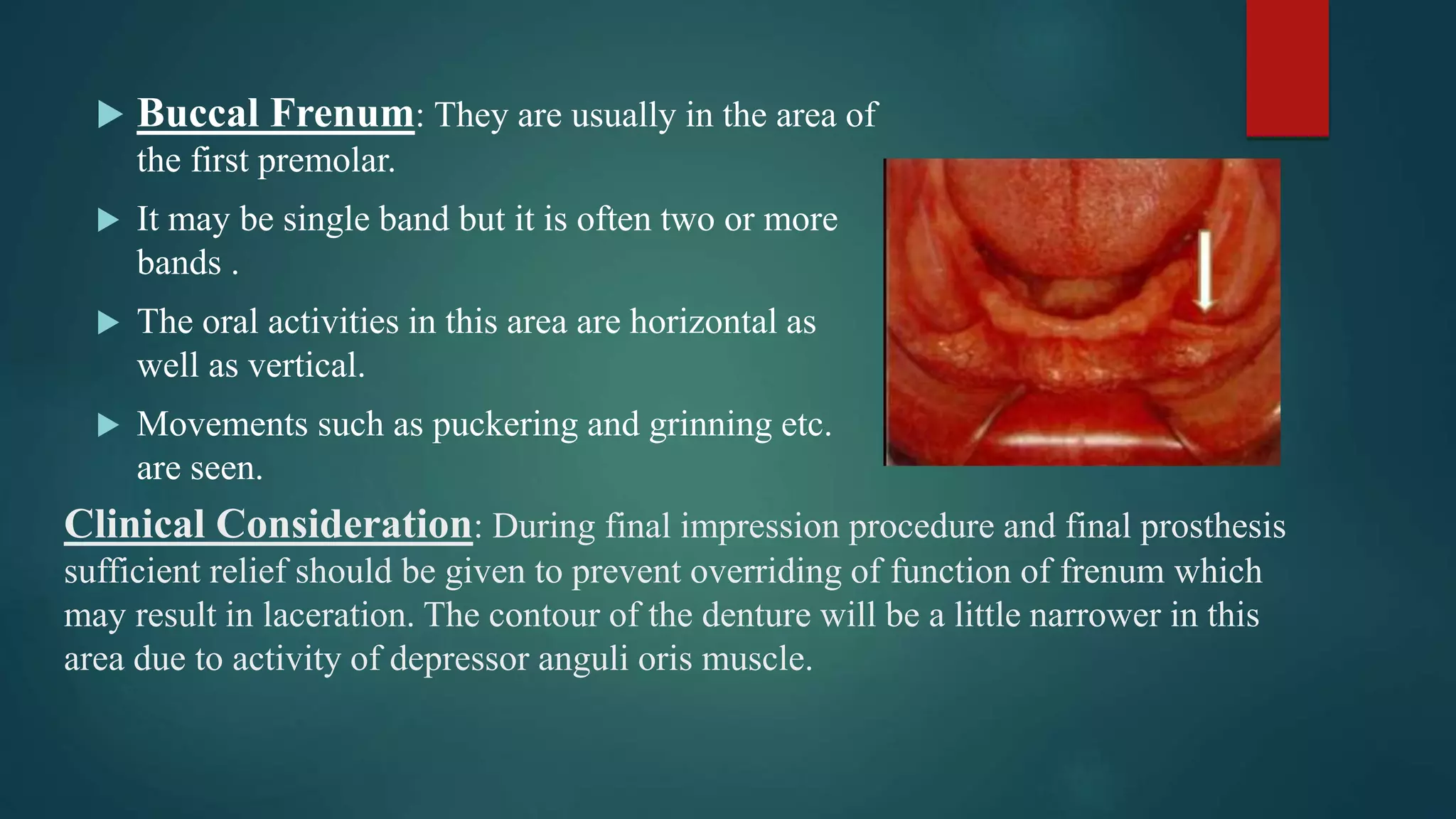 Maxillary and mandbular anatomical landmarks | PPTX