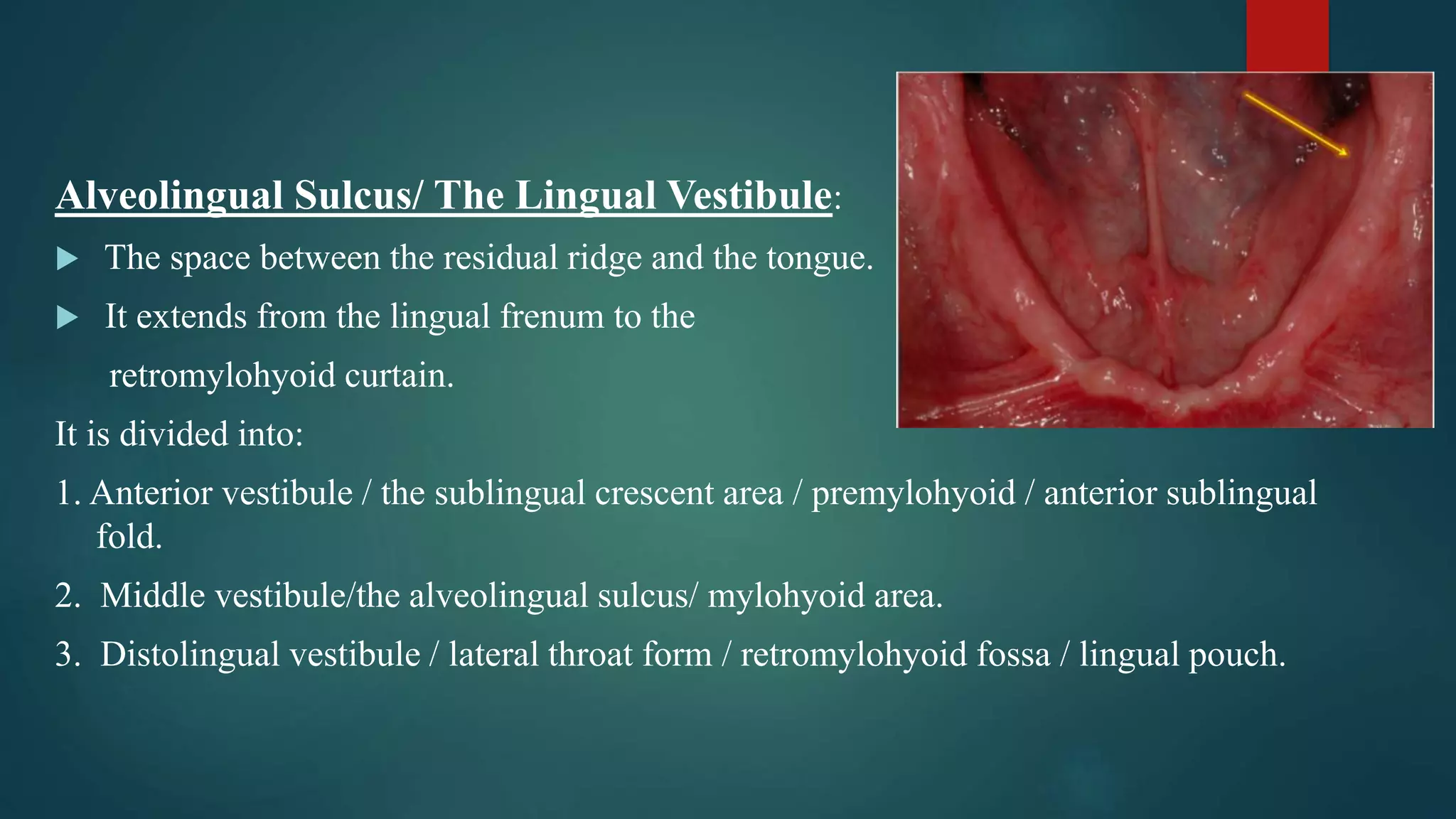 Maxillary and mandbular anatomical landmarks | PPTX