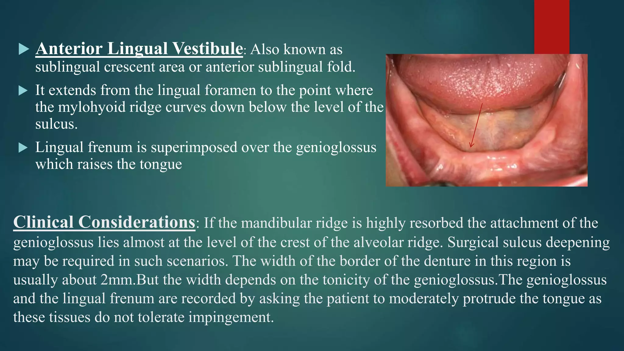 Maxillary and mandbular anatomical landmarks | PPTX