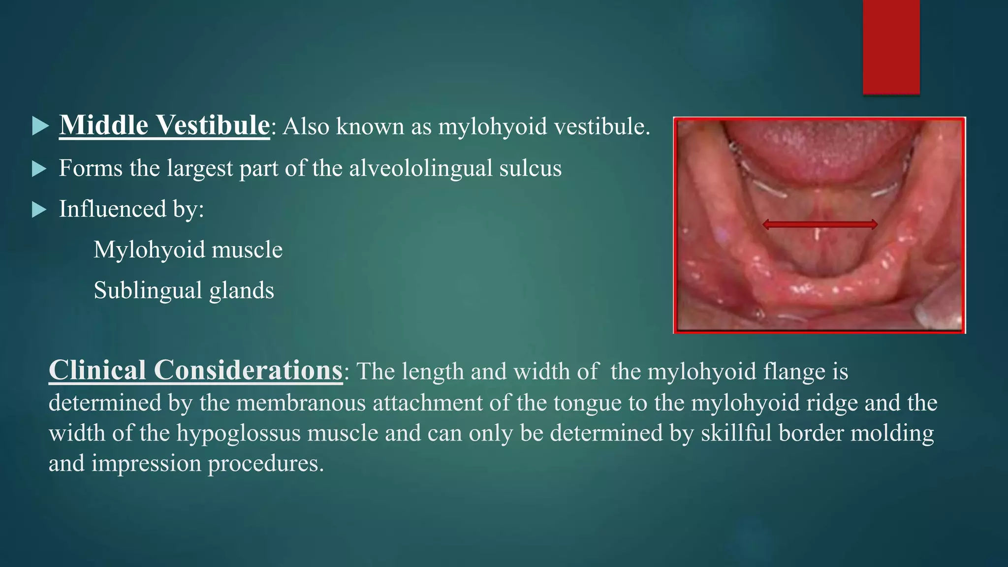Maxillary and mandbular anatomical landmarks | PPTX