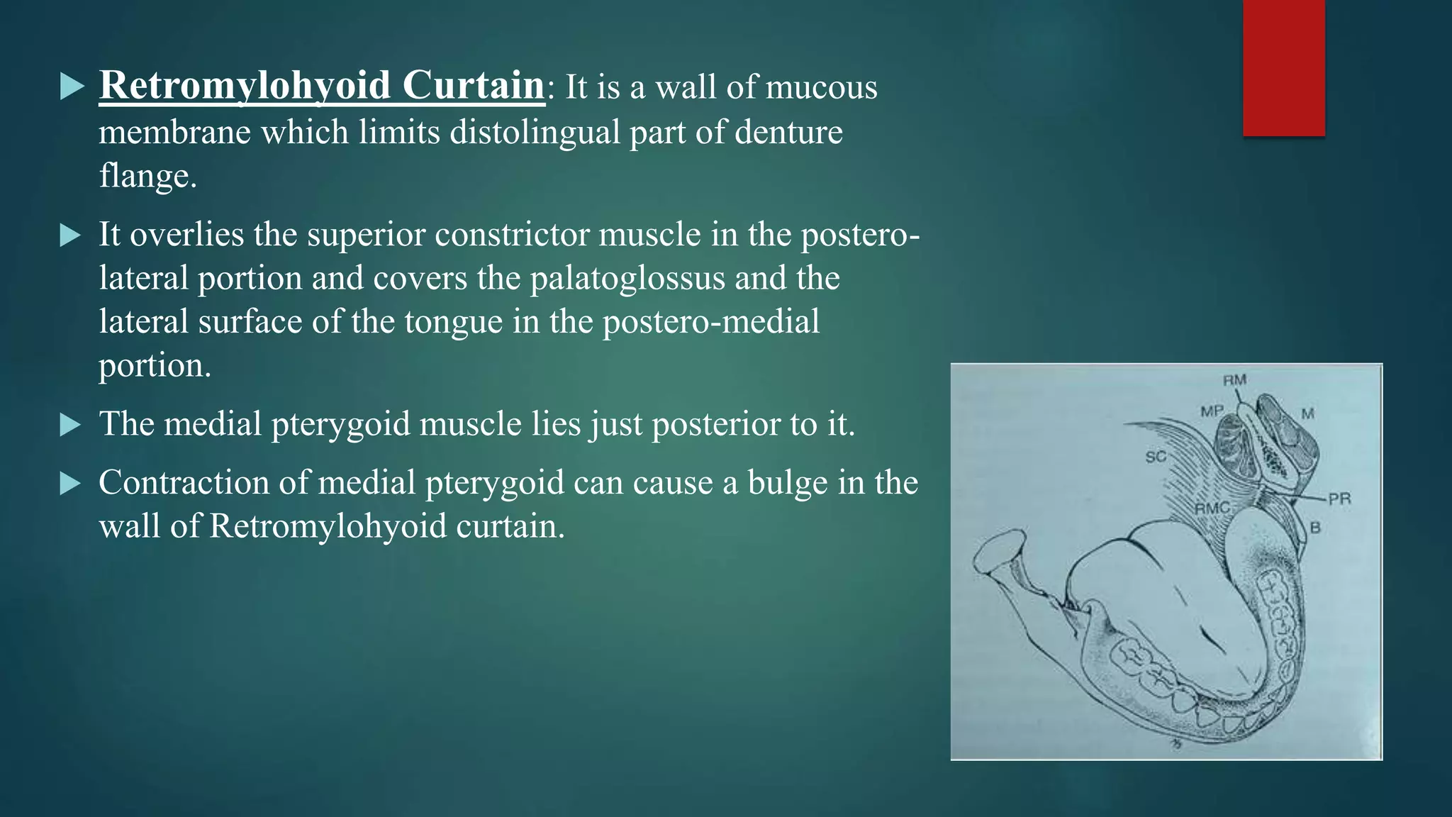Maxillary and mandbular anatomical landmarks | PPTX
