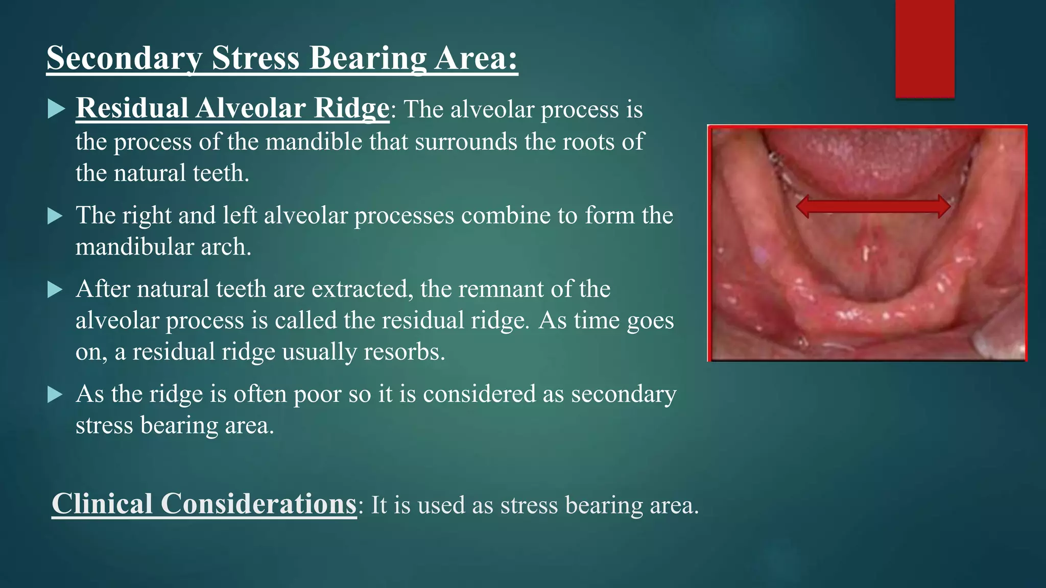 Maxillary and mandbular anatomical landmarks | PPTX