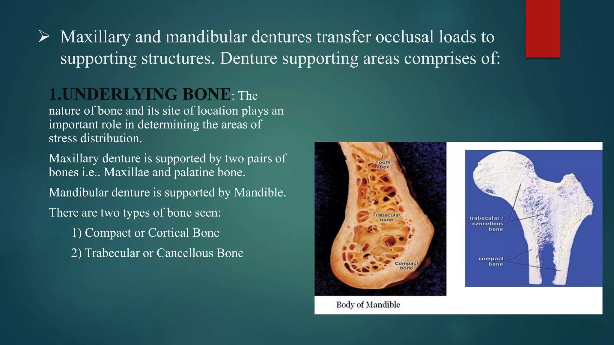 Maxillary and mandbular anatomical landmarks | PPTX