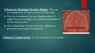 Maxillary and mandbular anatomical landmarks | PPTX
