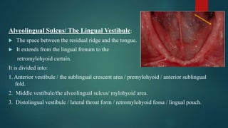 Maxillary and mandbular anatomical landmarks | PPTX