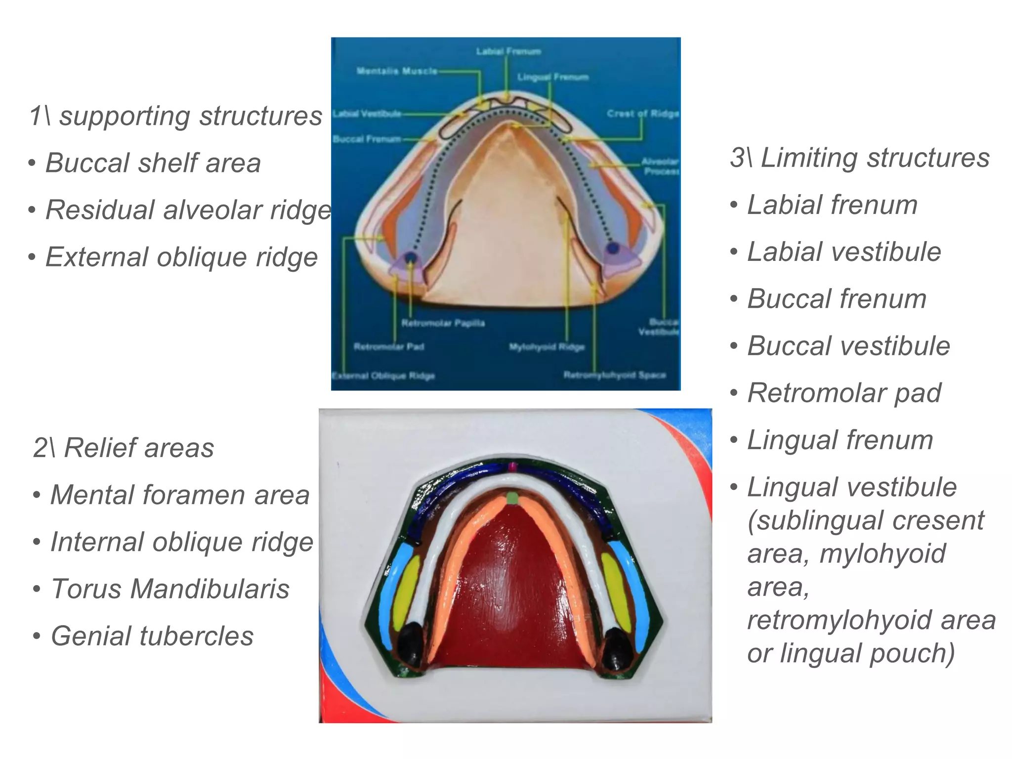 Maxillary and mandibular anatomical land marks | PPTX