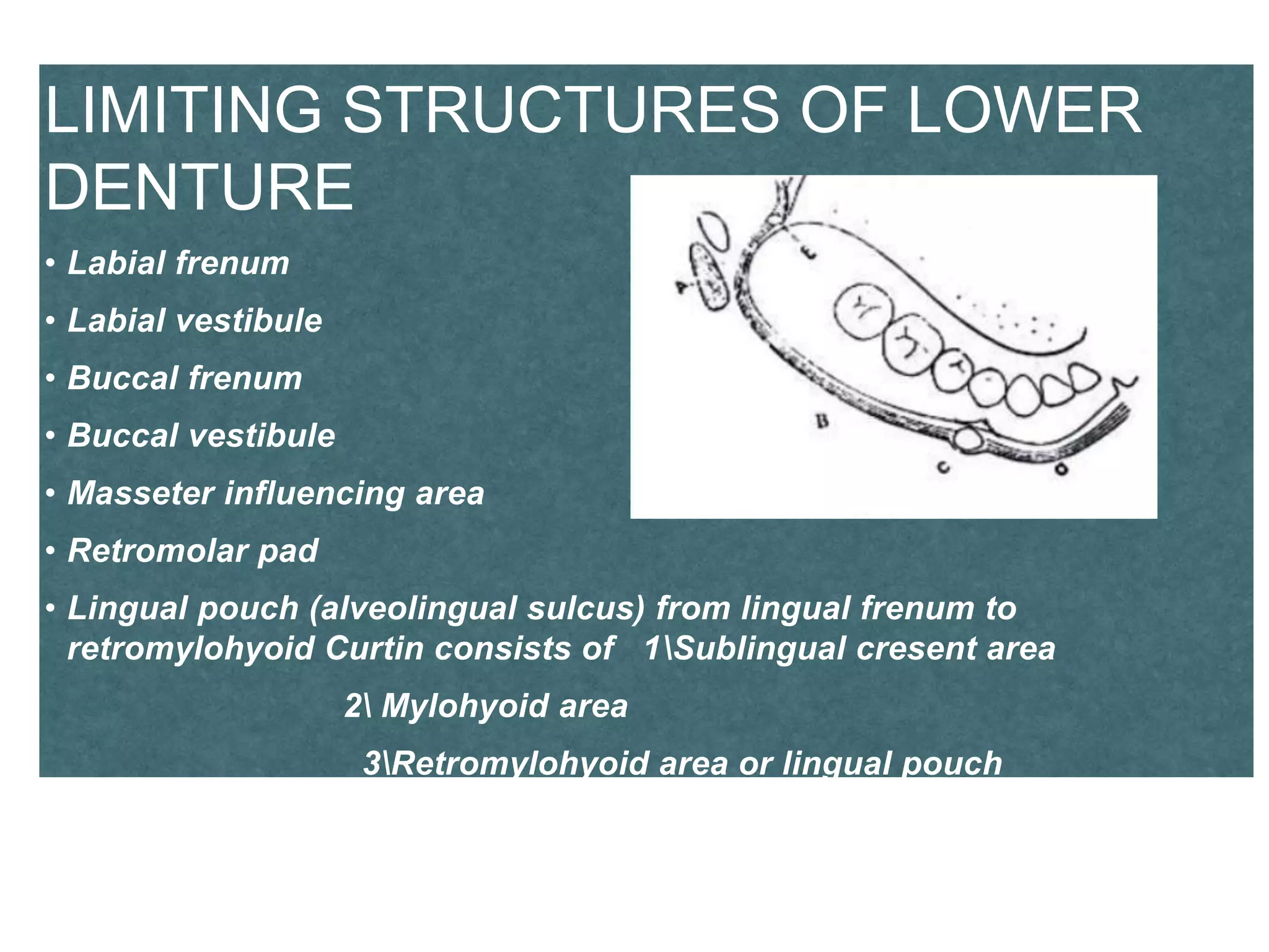 Maxillary and mandibular anatomical land marks | PPTX