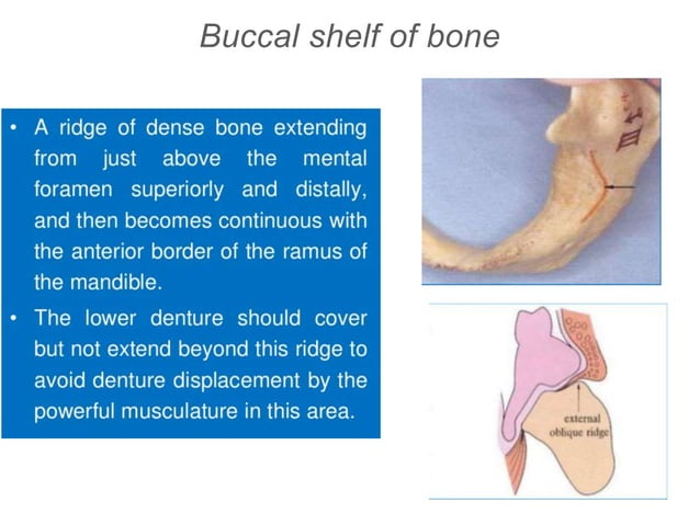 Maxillary and mandibular anatomical land marks | PPTX
