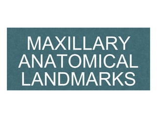 Maxillary and mandibular anatomical land marks | PPTX