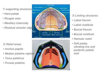 Maxillary and mandibular anatomical land marks | PPTX
