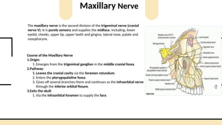 techniques of maxillary local anesthesia | PPTX