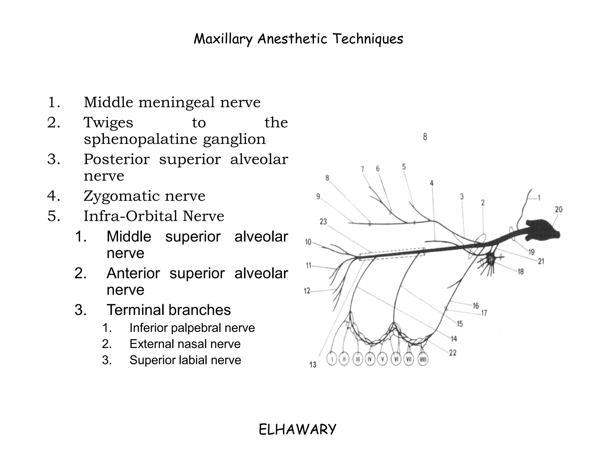 Anesthetic techniques - Maxillary anesthetic techniques | PDF