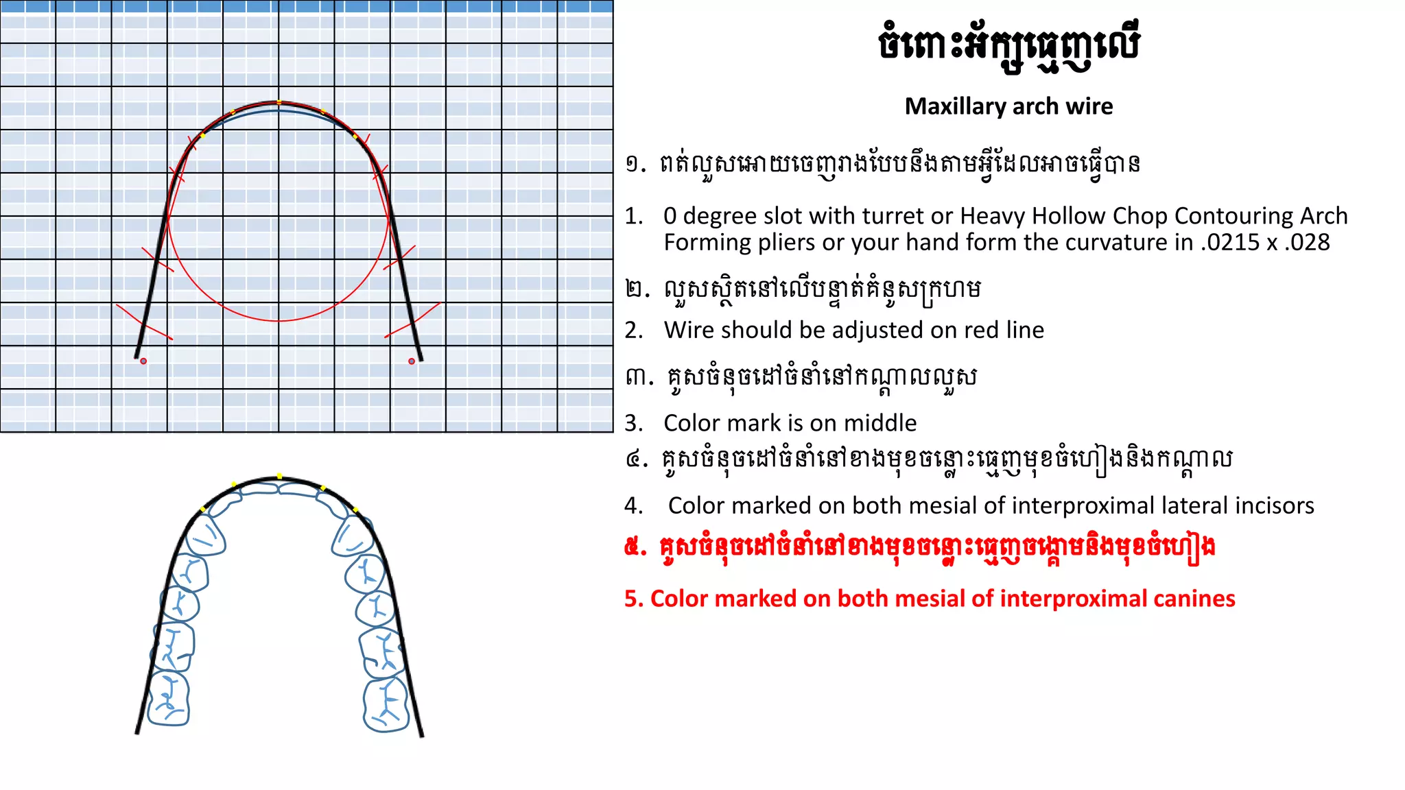 Maxillary arch form | PPT