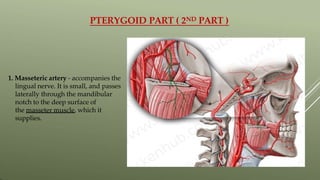 maxillaryarter pptx | PPT