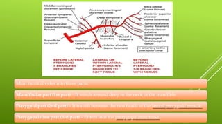 maxillary artery presentation for anatomy | PPTX
