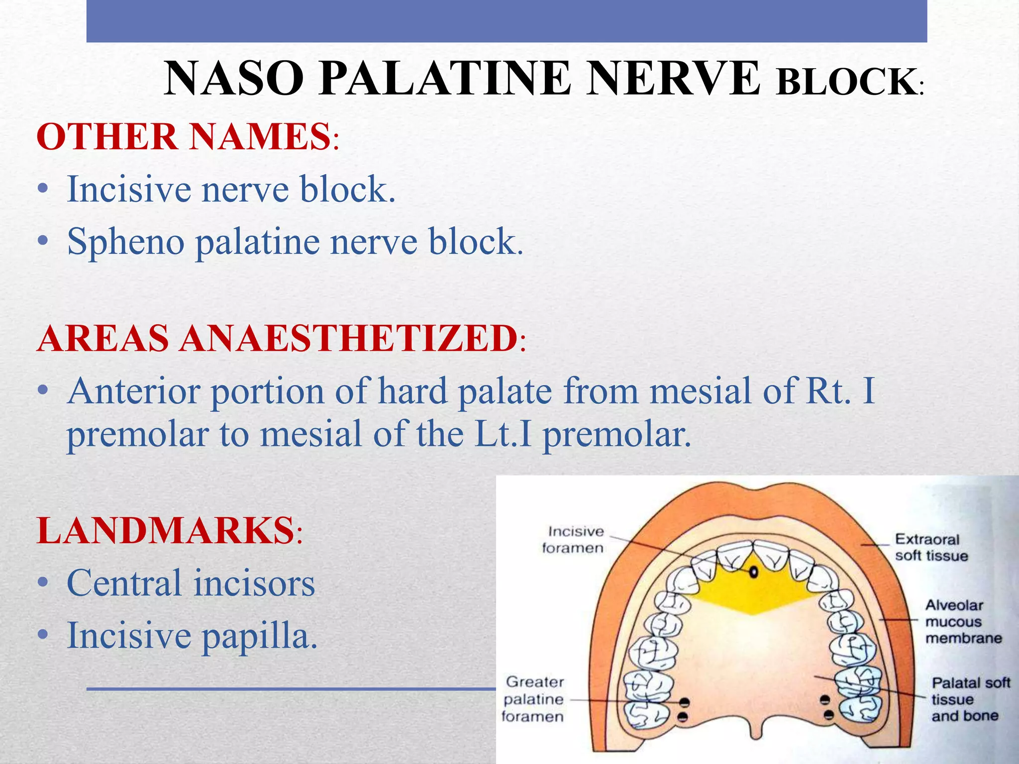 Maxillary blocks | PPTX