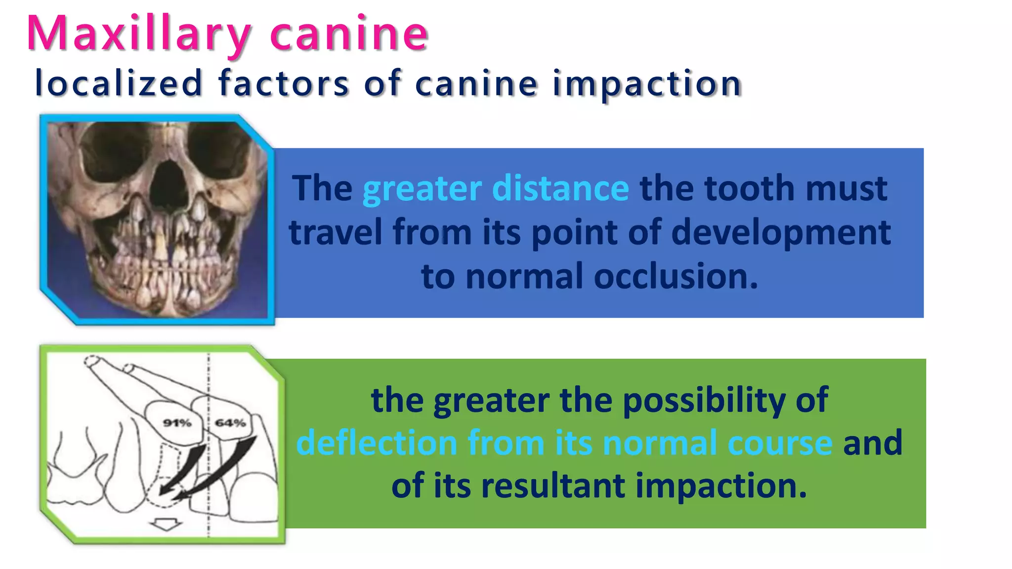 Maxillary canine | PPTX