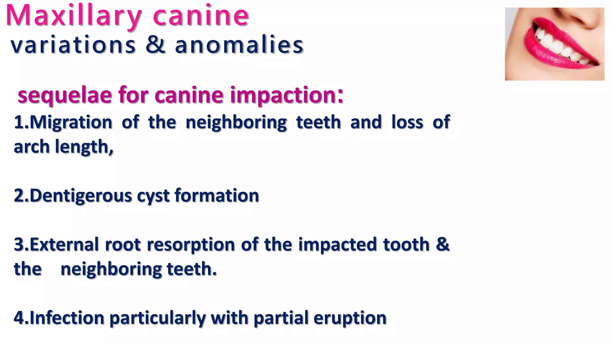 Maxillary canine | PPTX