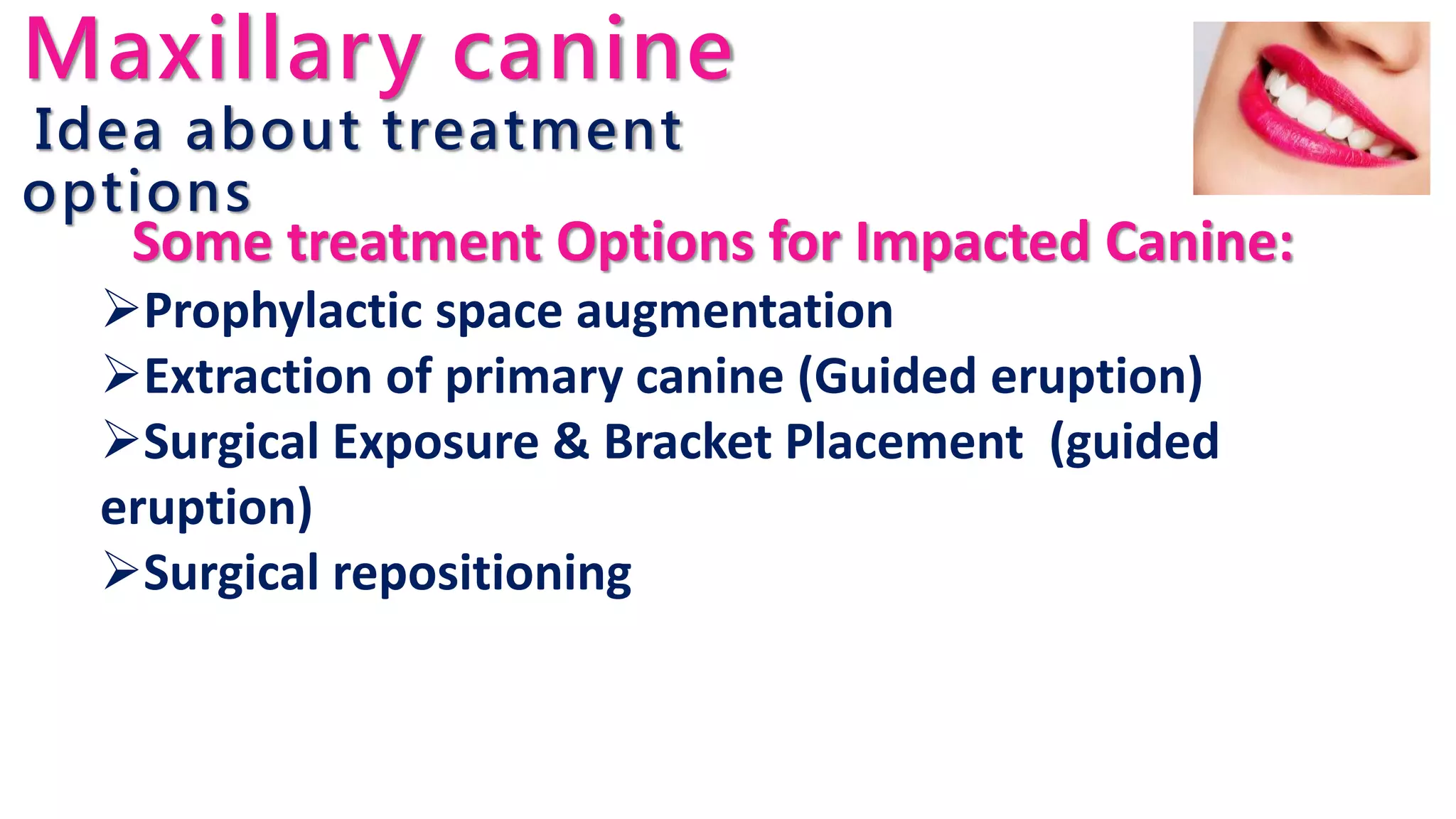Maxillary canine | PPTX