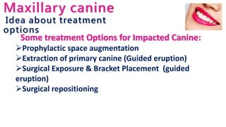 Maxillary canine | PPTX