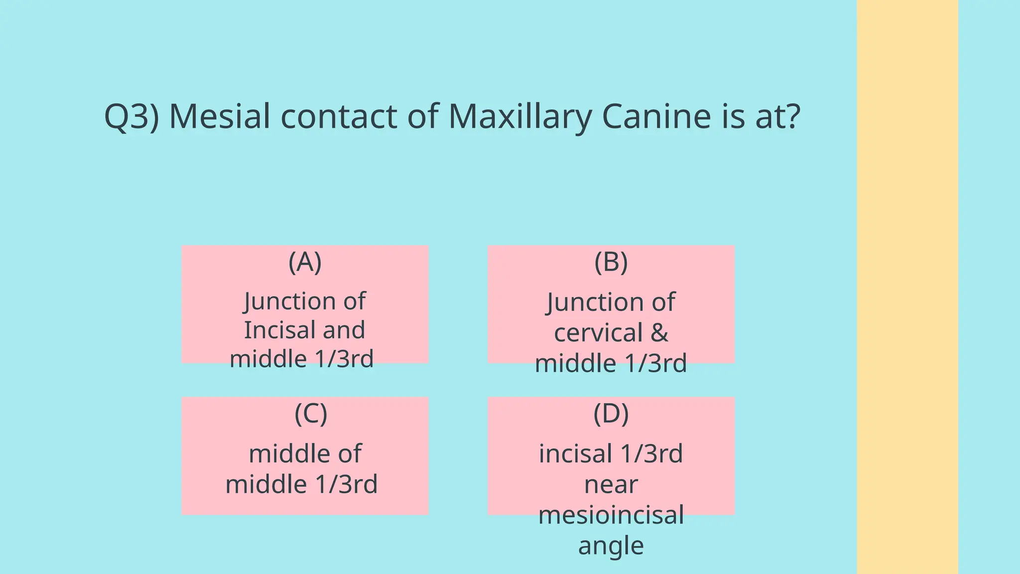 Permanent Maxillary canine- anatomy, chronology and developmental ...