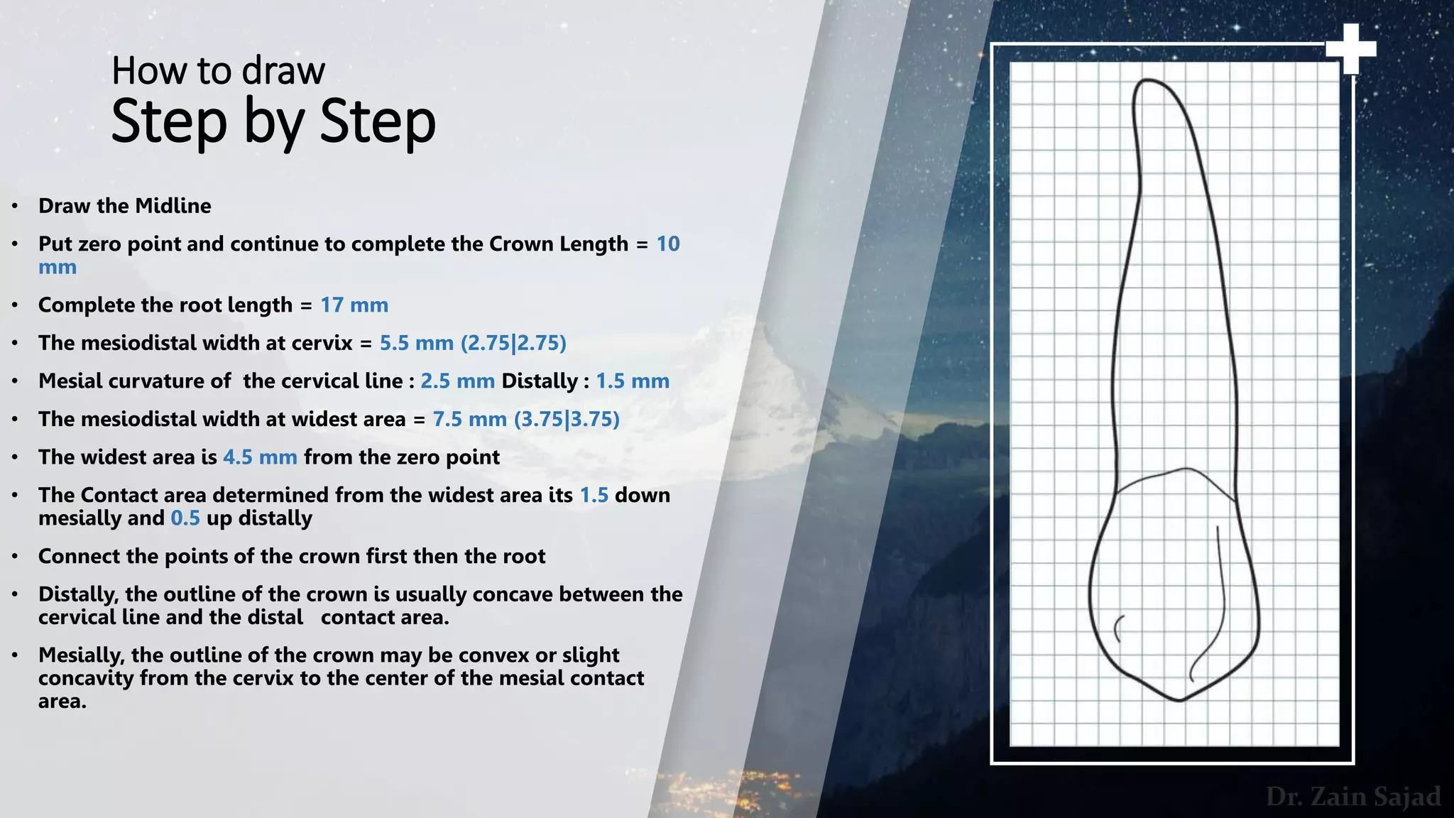 maxillary canine drawing.pptx
