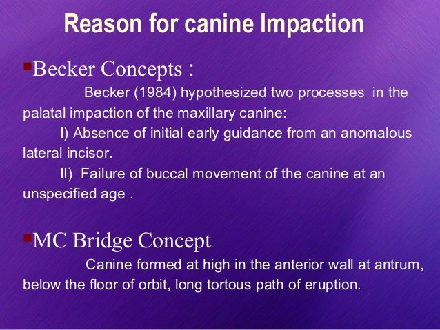 Maxillary canine impaction