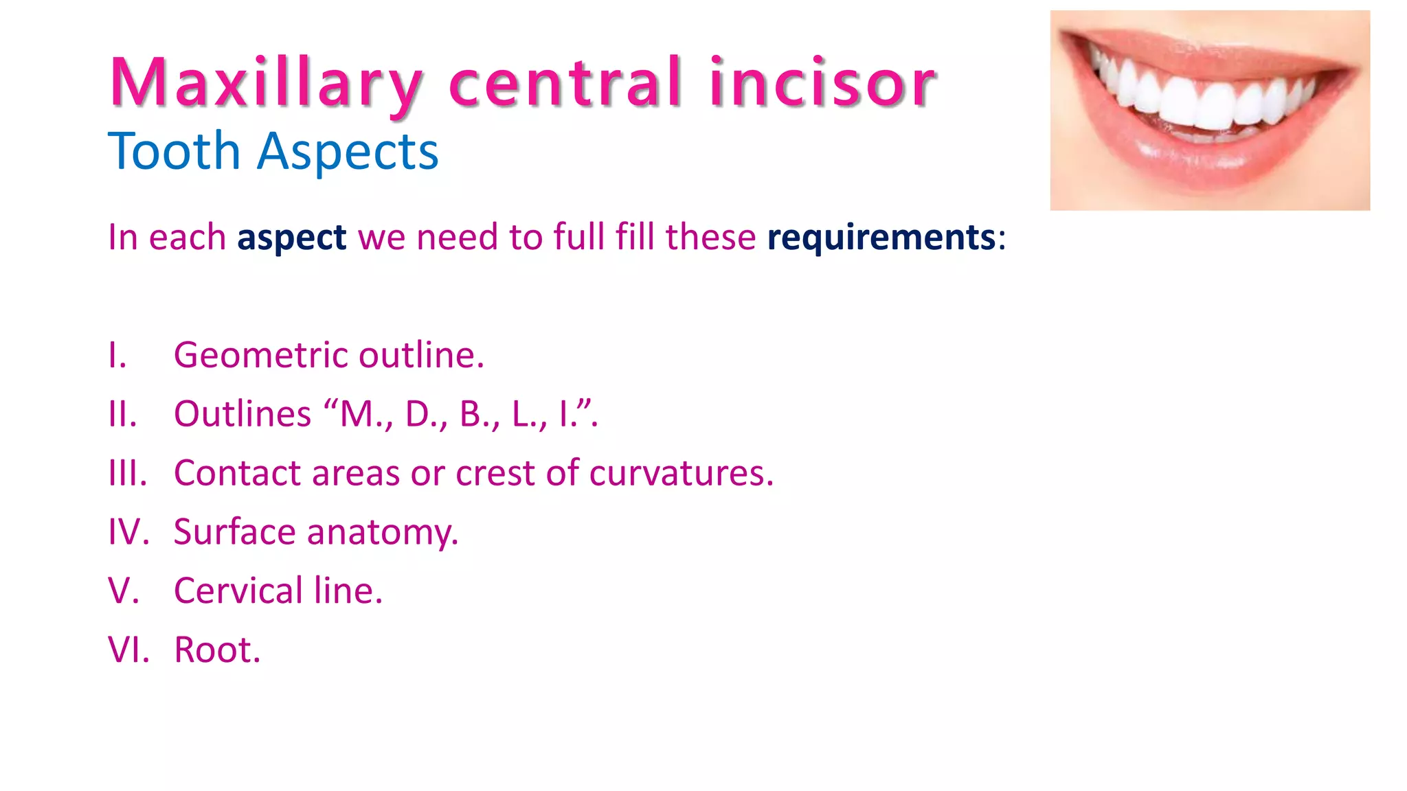 Maxillary central incisor | PPTX