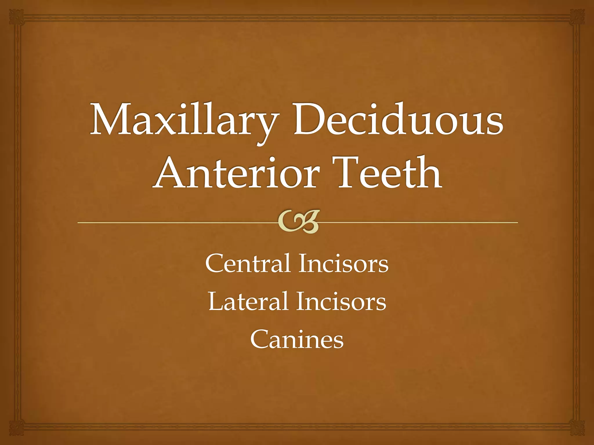 Maxillary deciduous anterior teeth | PPTX