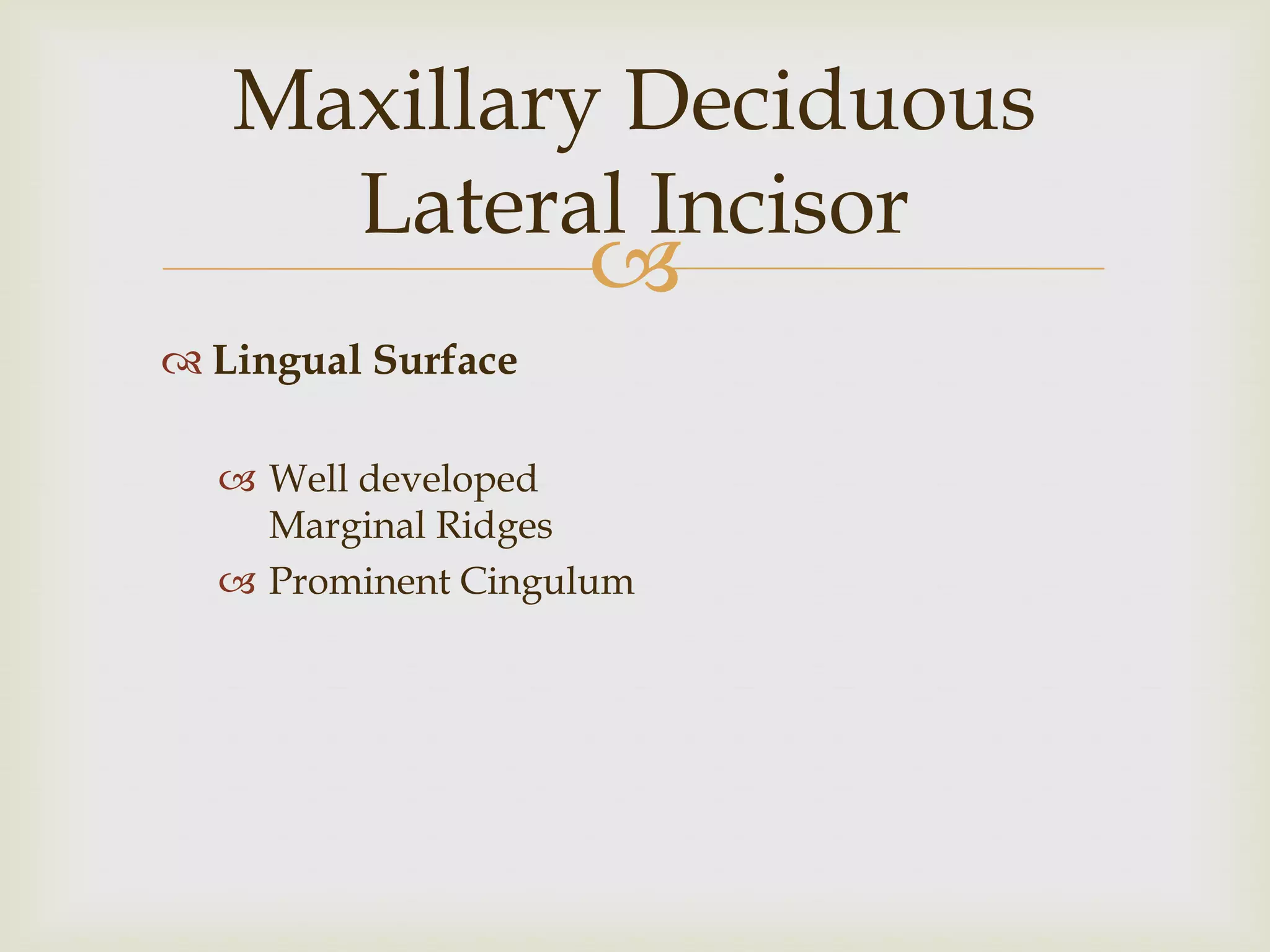 Maxillary deciduous anterior teeth | PPTX