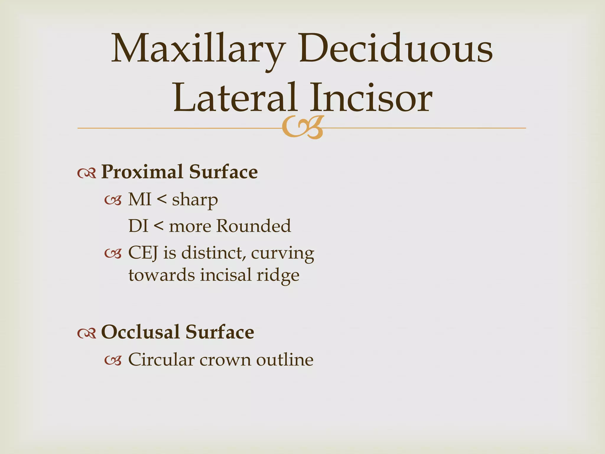 Maxillary deciduous anterior teeth | PPTX