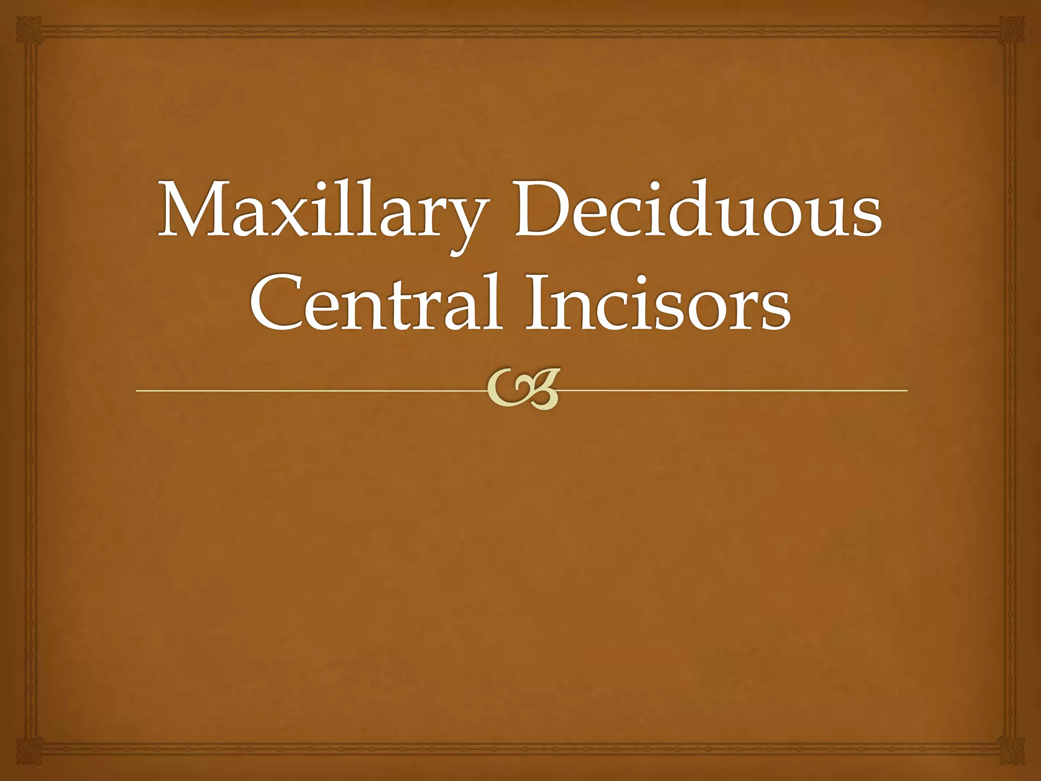Maxillary deciduous anterior teeth | PPTX