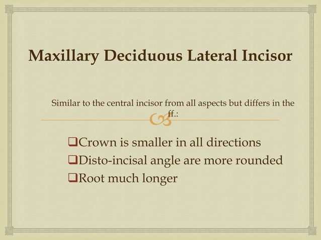 Maxillary deciduous anterior teeth | PPTX