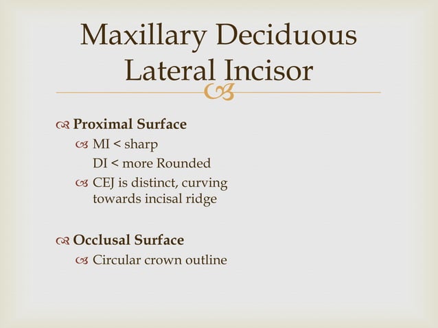 Maxillary deciduous anterior teeth | PPTX
