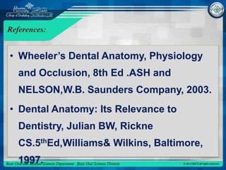 Maxillary first molar | PPTX