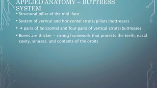Maxillary fractures | PPTX