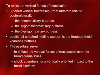 Maxillary fractures presentation ih | PPT