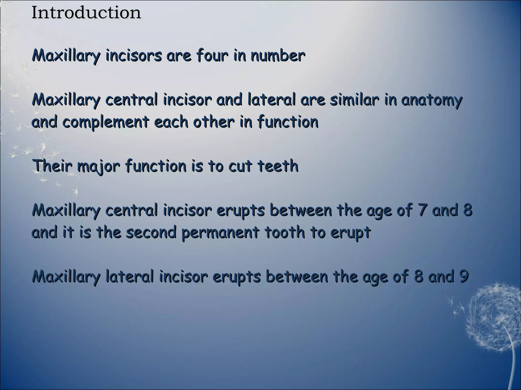 Maxillary Incisors | PPT