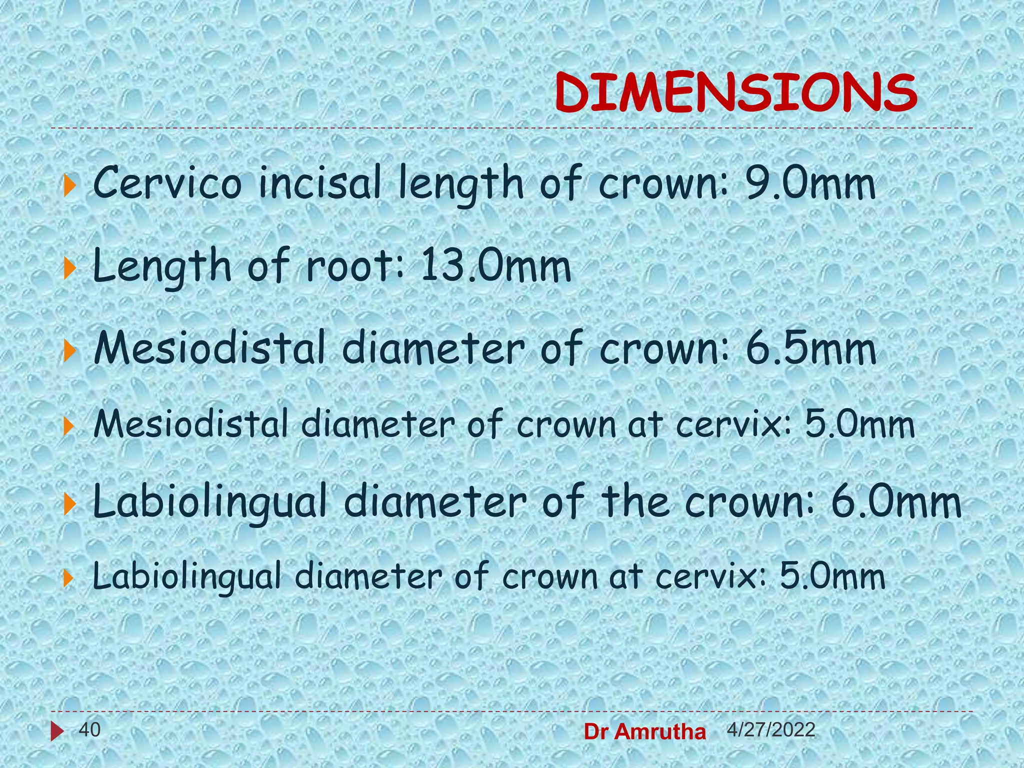 Maxillary Incisors.pptx