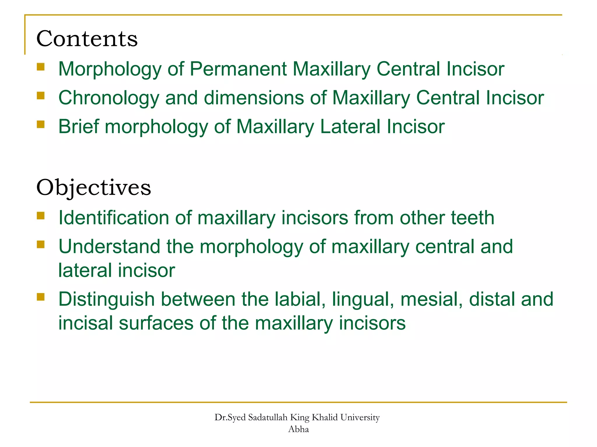morphology of Maxillary central and lateral incisors teeth | PPT