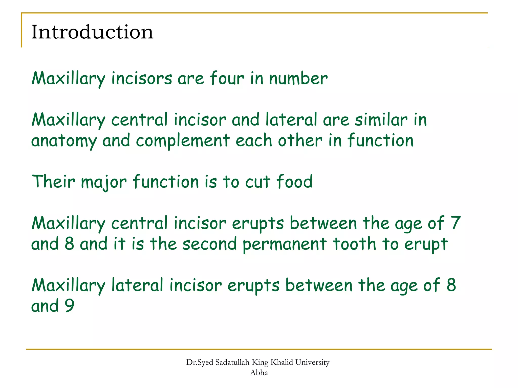 morphology of Maxillary central and lateral incisors teeth | PPT