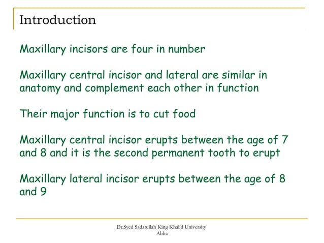morphology of Maxillary central and lateral incisors teeth | PPT ...