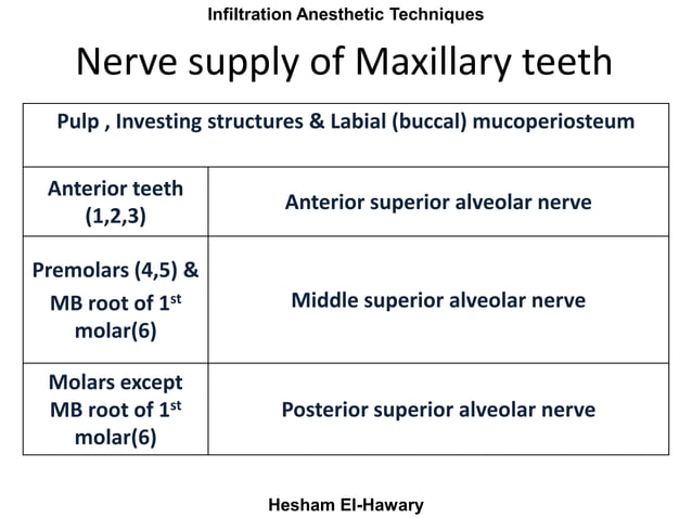 Maxillary infiltration anesthetic techniques (with photos) | PPTX ...