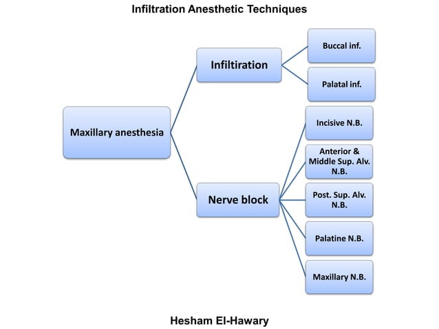 Maxillary infiltration anesthetic techniques (with photos) | PPTX ...