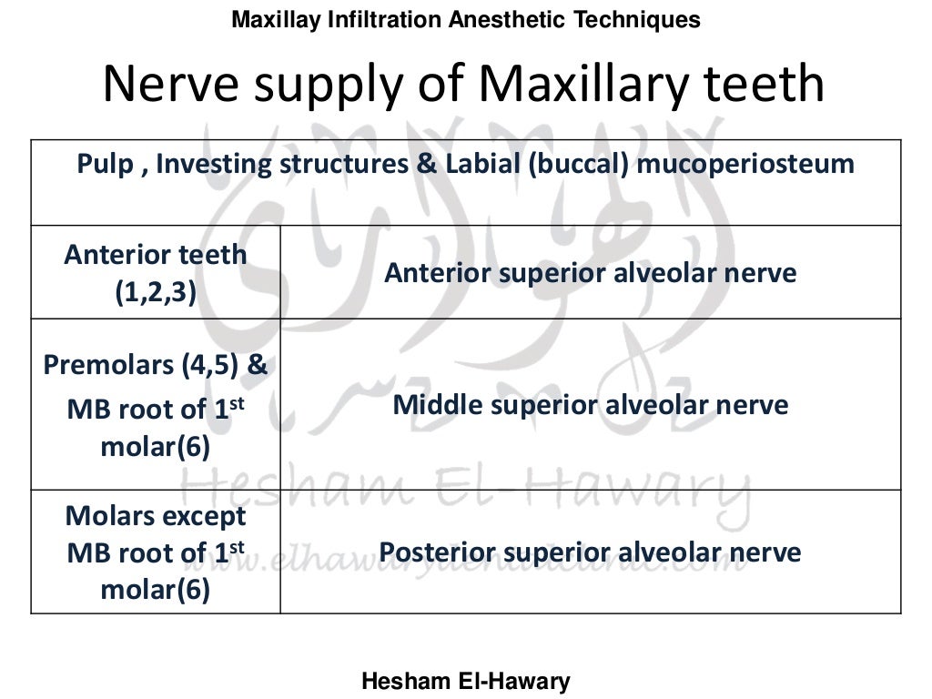 Maxillary infiltration anesthetic techniques (with photos)